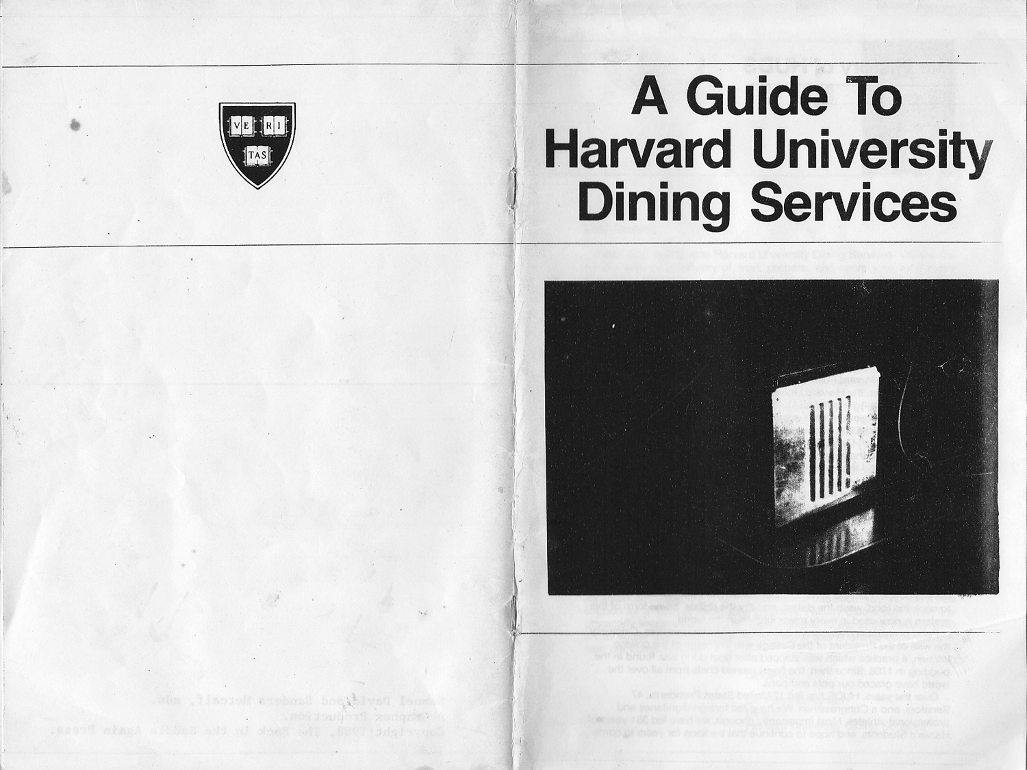 The Journey of the Potato